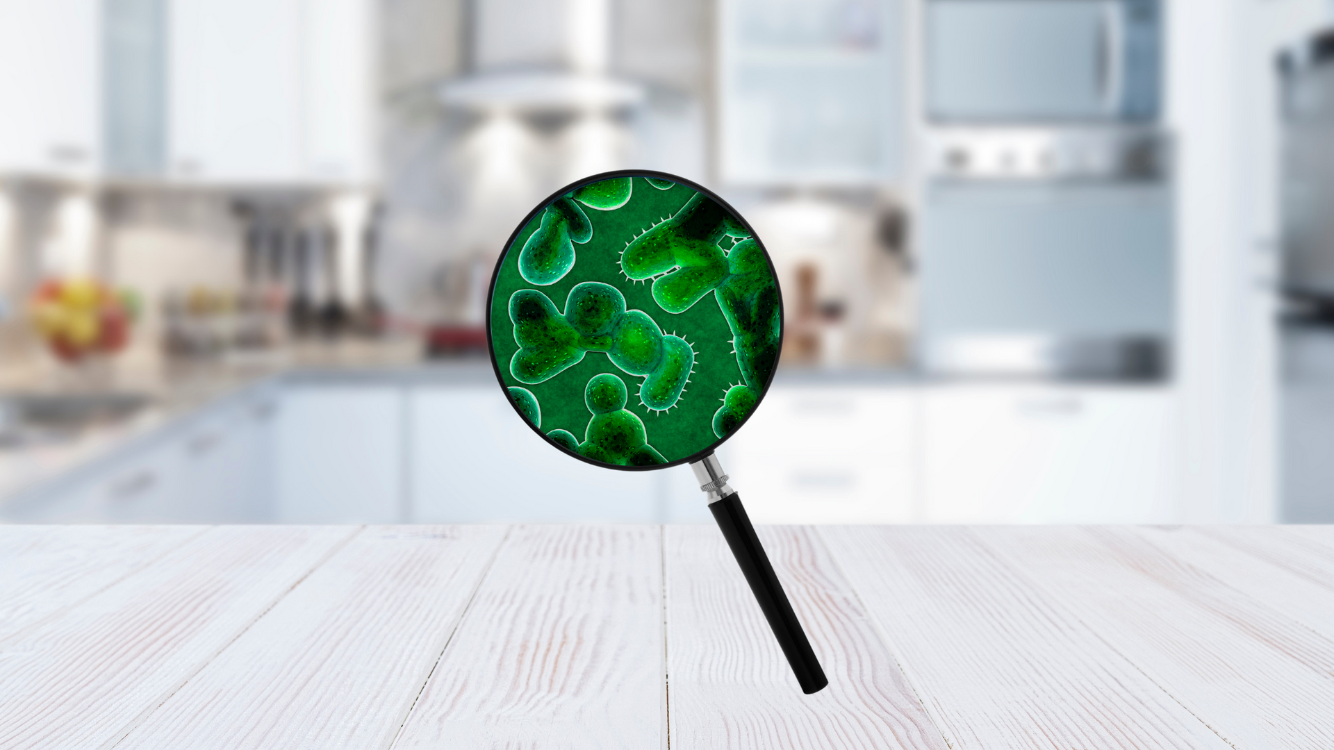 Kitchen Contamination: The Truth About Hidden Germs and How to Beat Th ...